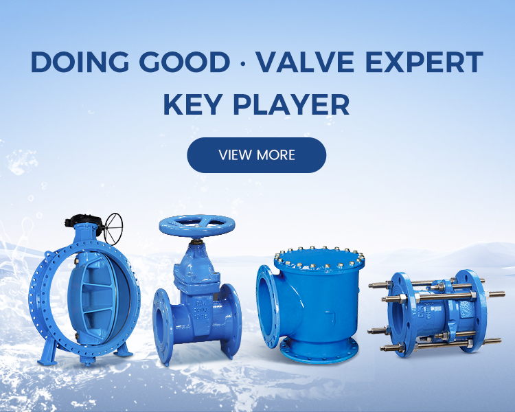 DVK Valves - Industrial Valve Manufacturer